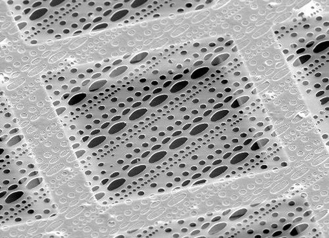 Electron Microscopy Sciences Multi A Holey Carbon Films on Grids, 10/PK ...