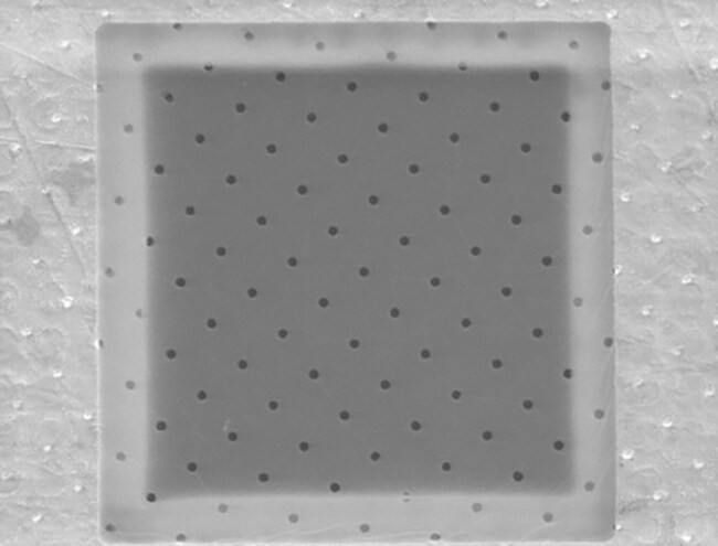 Electron Microscopy Sciences R 1/4 Holey Carbon Films on Grids, Grid ...