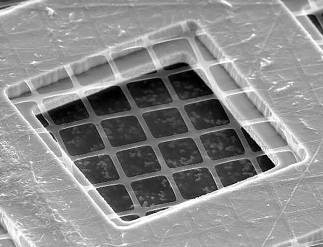 Electron Microscopy Sciences S 35/5 Holey Carbon Films on Grids, 25/PK ...