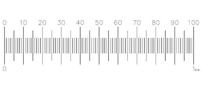 Electron Microscopy Sciences Stage Micrometer S8, Horizontal Scale, 1 ...