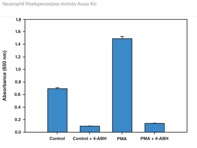 Cayman Chemical Neutrophil Myeloperoxidase Activity Assay Kit, 2 x 96 ...