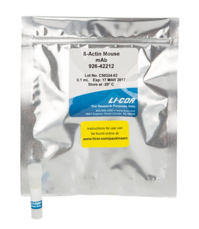 LICOR Actin Mouse Monoclonal Antibody for Normalization (100 L ...