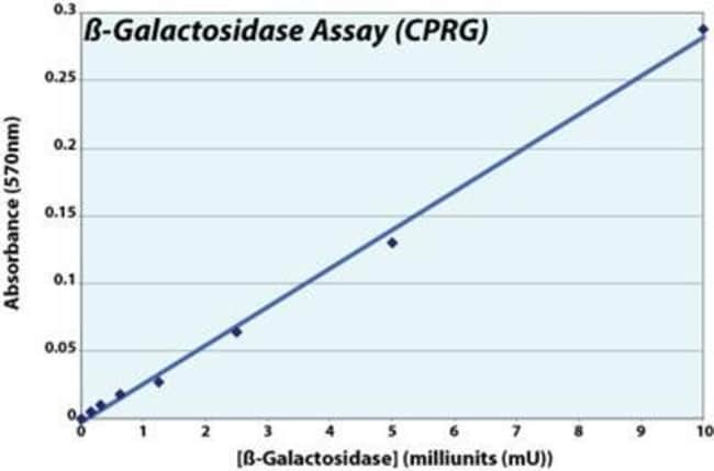 Beta Galactosidase Assay