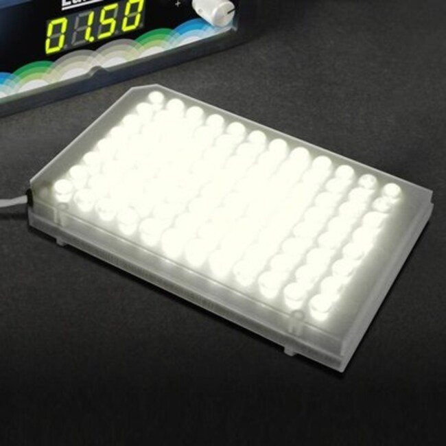 Analytical Sales Lumidox 96-Well White Led Array, Quantity: Each of 1 ...