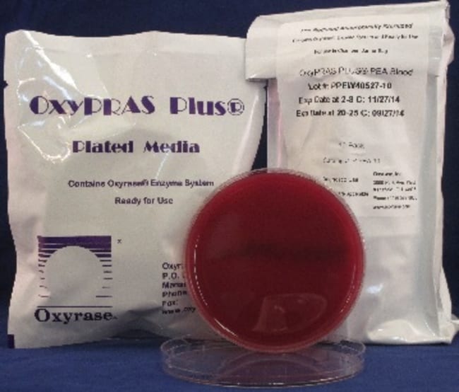 Oxyrase Oxypras Pea Blood Agar 10/Pk, Quantity: Pack of 10 | Fisher ...