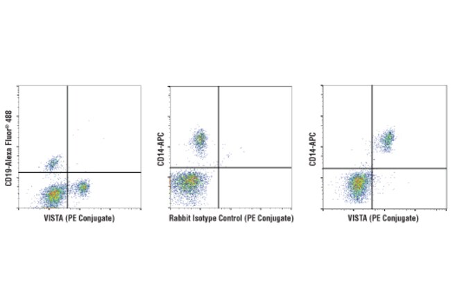 Cell Signaling Technology VISTA (D1L2G) XP Rabbit mAb (PE Conjugate) 100 | Fisher Scientific