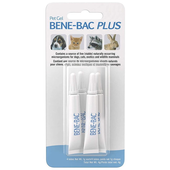 Med Vet International BENE-BAC PLUS PET GEL, 1GM, Quantity: Each of 1 ...