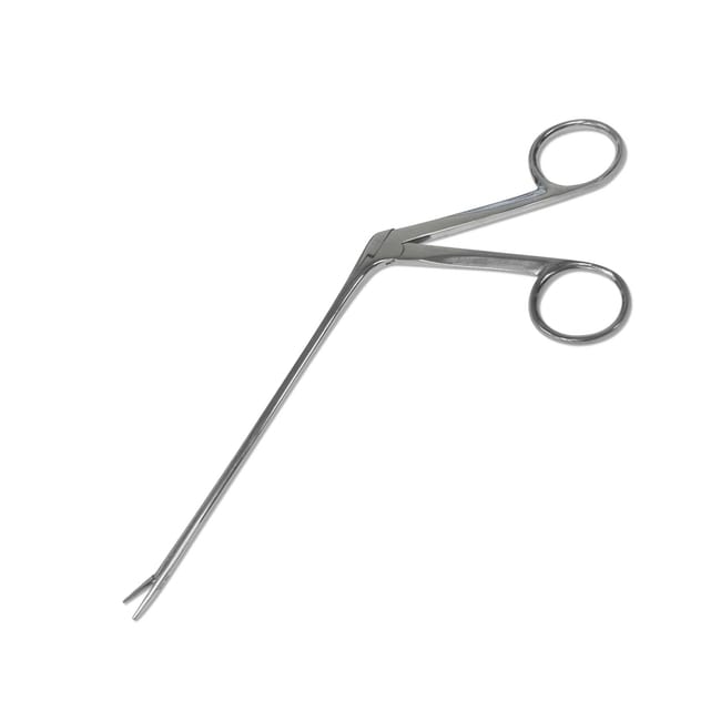 Med Vet International Noyes Alligator Forceps, Shaft, Extra Fine ...