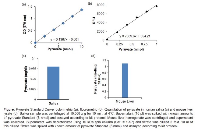 BioVision Inc Pyruvate Colorimetric/Fluorometric Assay Kit ...
