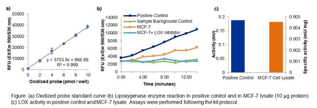 BioVision IncLipoxygenase Activity Assay Kit (Fluorometric ...