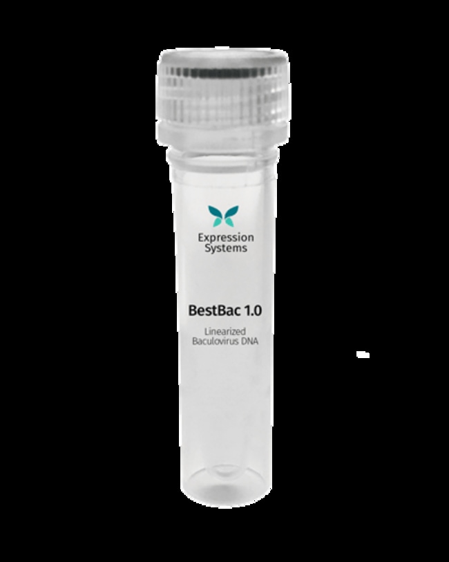 Expression SystemsBESTBAC 1.0 LINEAR BACULOVIRUS | Fisher Scientific