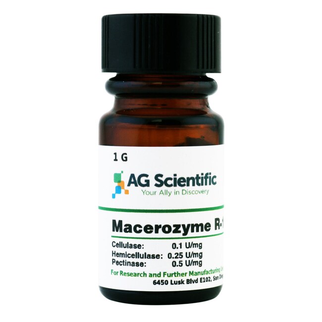 AG Scientific Inc Macerozyme R-10, 1 G | Fisher Scientific