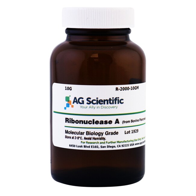 AG Scientific Inc RNase A, 10G | Fisher Scientific