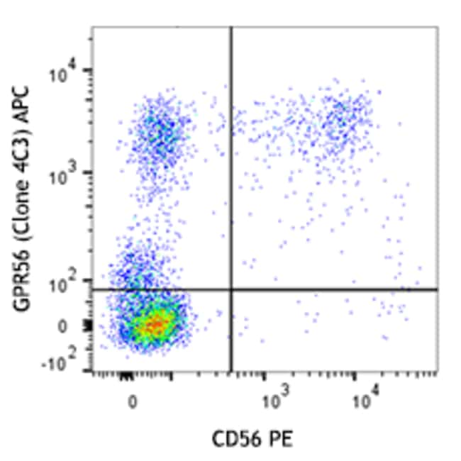 Biolegend APC anti-human GPR56 | Fisher Scientific