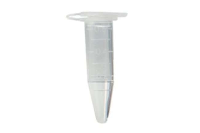 Biotang Inc 0.65 ml Microcentrifuge Tubes. 500/bag, 5000/ 10bag/case ...