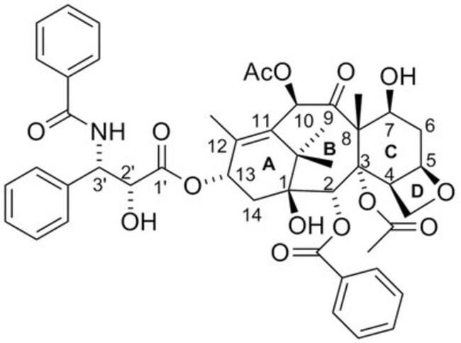 Biotang Inc Paclitaxel 5G CAS#33069-62-4, Quantity: Each of 1 | Fisher ...