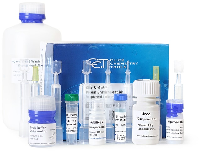 Click Chemistry Tools Protein Enrichment Kit, Quantity: Pack of 1 ...