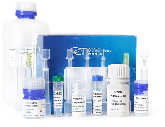 Click Chemistry Tools Click Chemistry Capture Kit, Quantity: Pack of 1 | Fisher Scientific