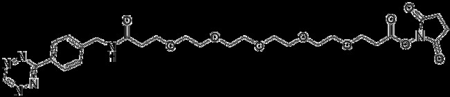 Click Chemistry Tools An amine-reactive labeling reagents with enhanced ...