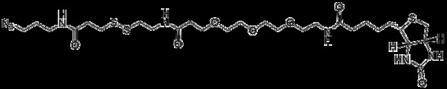 Click Chemistry Tools An alkyne-reactive cleavable biotin probe ...