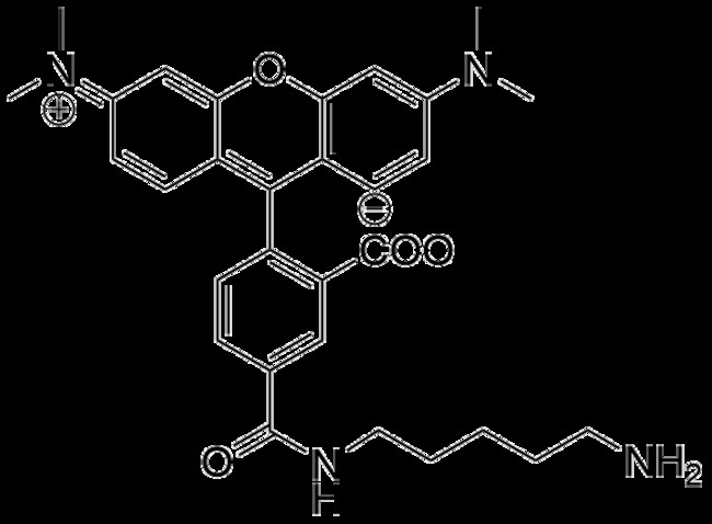 Click Chemistry Tools 5-TAMRA Cadaverine (also known as TAMRA ...