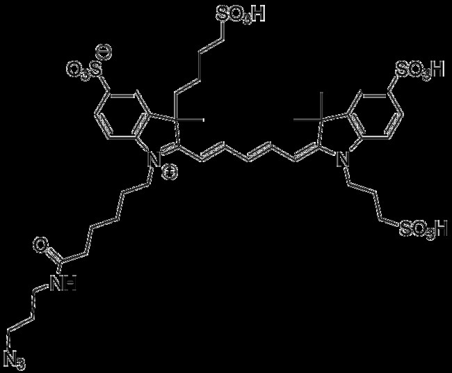 Click Chemistry Tools AFDye 555 Azide can be reacted with terminal alkynes | Fisher Scientific