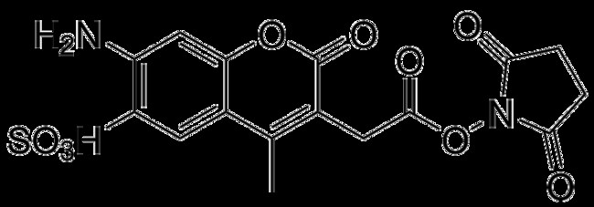 Click Chemistry Tools AFDye 350 NHS Esteris an amine reactive, water ...