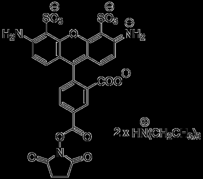 Click Chemistry Tools AFDye 488 NHS Ester is an amine reactive, green ...