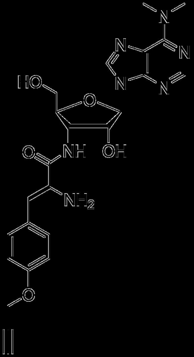 Click Chemistry Tools An alkyne analog of puromycin that is efficiently ...
