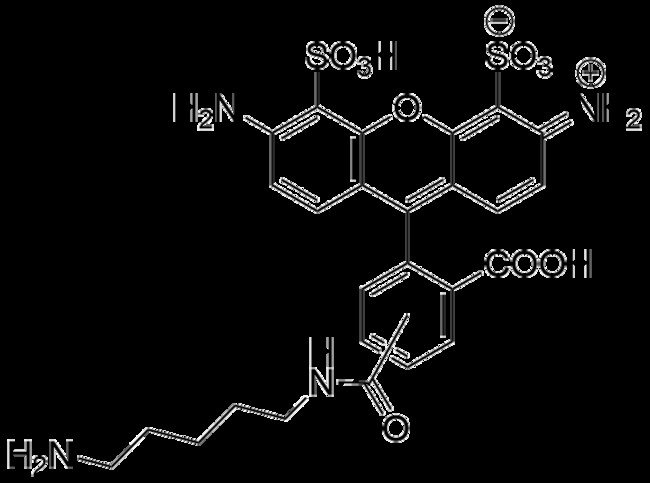 Click Chemistry Tools AFDye 488 Cadaverine is a carbonyl reactive ...
