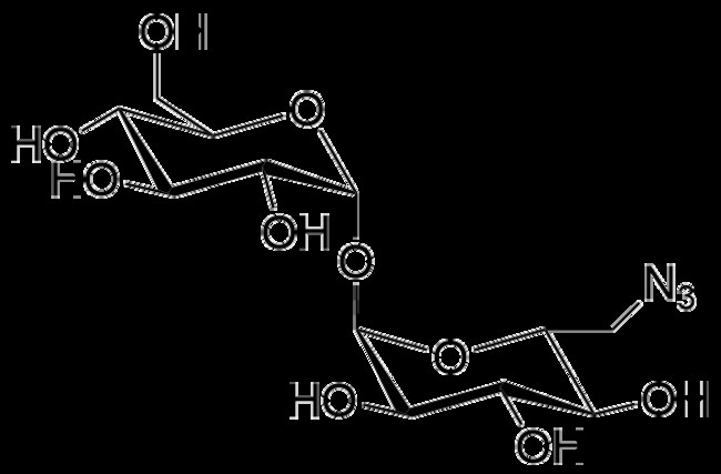 Click Chemistry Tools Azide Modified Non Mammalian Disaccharide