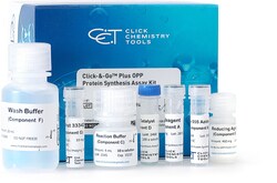 Click Chemistry Tools OPP Protein Synthesis Assay, Quantity: Pack of 1 ...