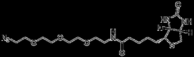 Click Chemistry Tools An azide-activated biotinylation reagent with a ...