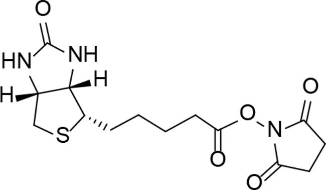 Click Chemistry Tools An activated ester for biotinylation of primary ...