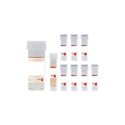 Promocell GmbH PromoCell Supplement Pack / Small Airway Epithelial Cell ...