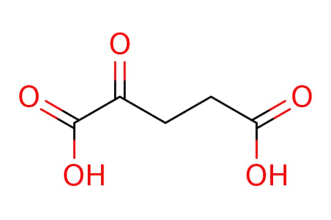 eMolecules 2-Oxopentanedioic acid | 328-50-7 | MFCD00004165 | 25g ...