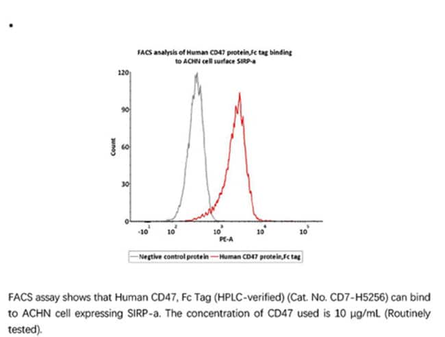 ACROBiosystems Recombinant Protein;Human CD47 Protein, Fc Tag (HPLC-verified);HEK293;100UG;CD7 ...