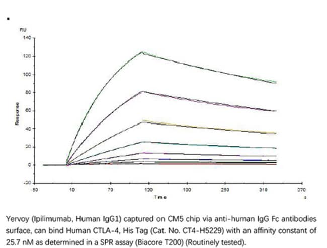 ACROBiosystems Recombinant Protein;Human CTLA-4 / CD152 Protein;HEK293 ...