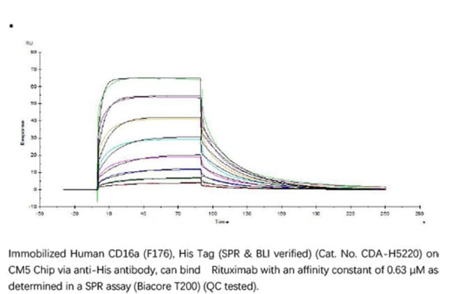 ACROBiosystems Recombinant Protein;Human Fc gamma RIIIA / CD16a (F176 ...