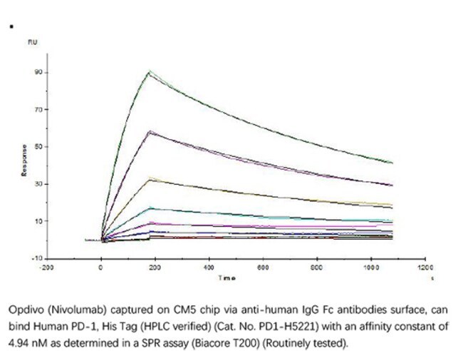 ACROBiosystems Recombinant Protein;Human PD-1 / PDCD1 Protein (HPLC-verified);HEK293;1MG;PD1 ...