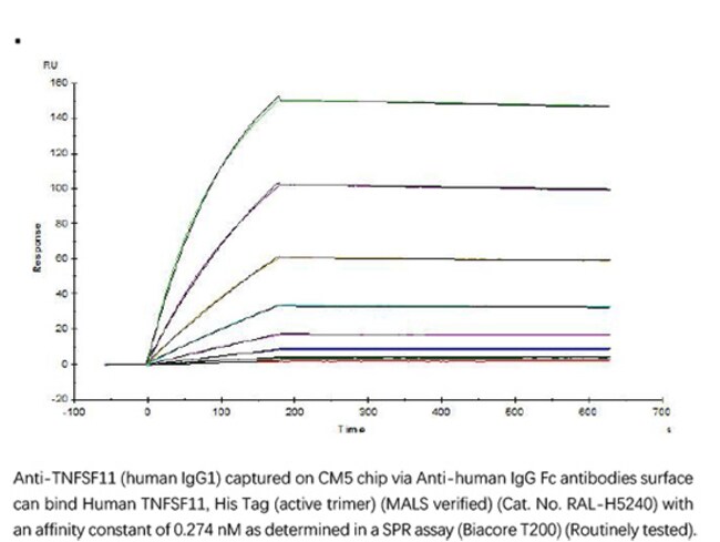 ACROBiosystems Recombinant Protein;Human TNFSF11 / RANKL / CD254 ...