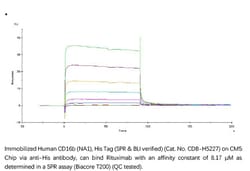 ACROBiosystems Recombinant Protein;Human Fc gamma RIIIB / CD16b (NA1 ...