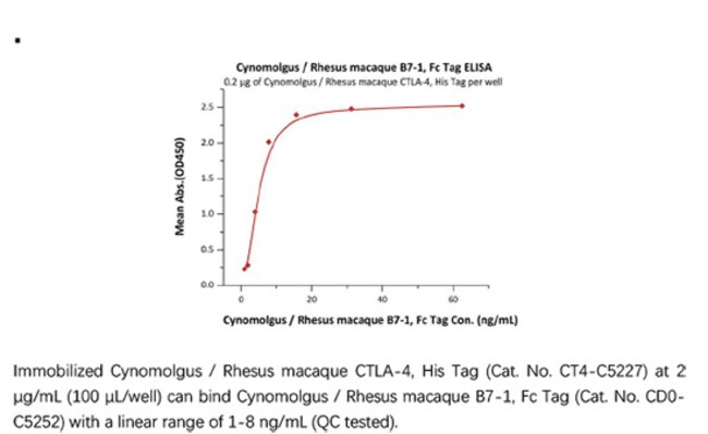 ACROBiosystems Recombinant Protein;Cynomolgus / Rhesus macaque B7-1 / CD80 | Fisher Scientific