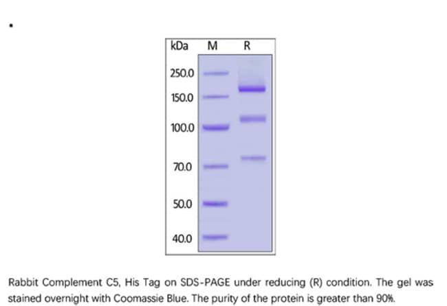ACROBiosystems ACROBiosystems Rabbit Complement C5 Protein, His Tag ...