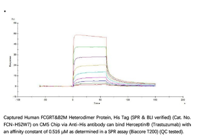 ACROBiosystems ACROBiosystems Human FcRn / FCGRT&B2M Heterodimer ...