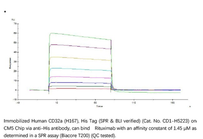 ACROBiosystemsACROBiosystems Human Fc gamma RIIA / CD32a (H167) Protein, | Fisher Scientific