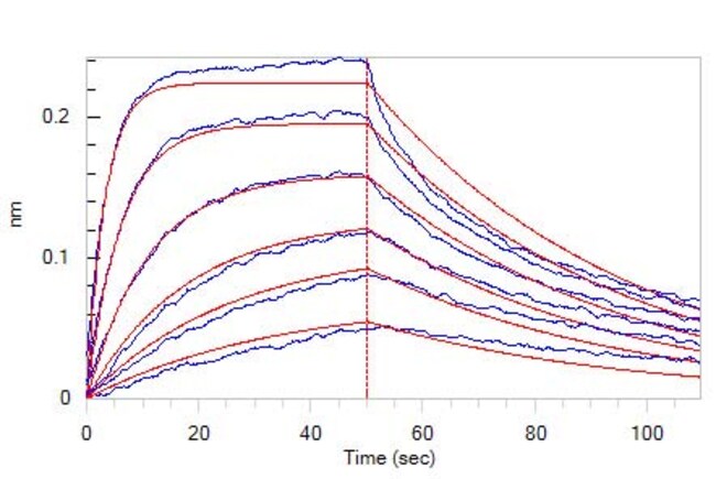 ACROBiosystemsMouse PD-1 / PDCD1 Protein, Mouse IgG2a Fc Tag | Fisher Scientific