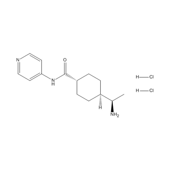 Medchemexpress LLC Y-27632 (DIHYDROCHLORIDE), 98%, Quantity: Each of 1 ...