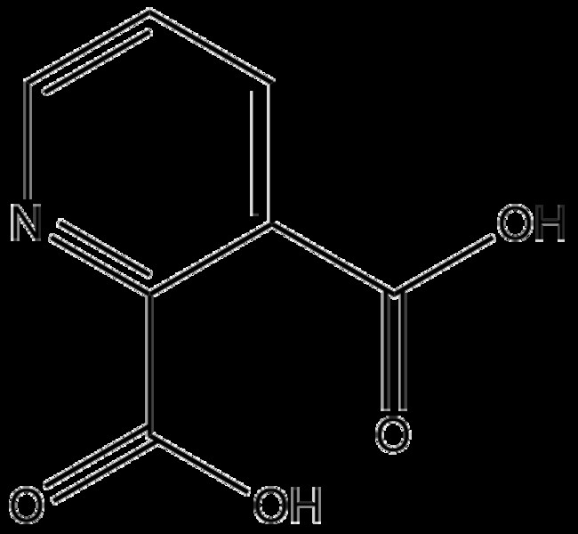 Apexbio Technology LLC Quinolinic acid,1g CAS# 89-00-9, Quantity: Each ...