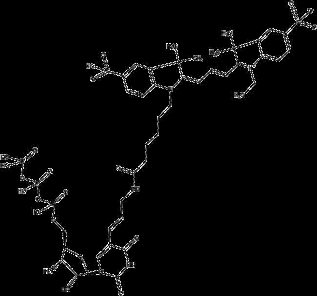 Apexbio Technology LLC Cy3-UTP,25ul (10mM), Quantity: Each of 1 | Fisher Scientific